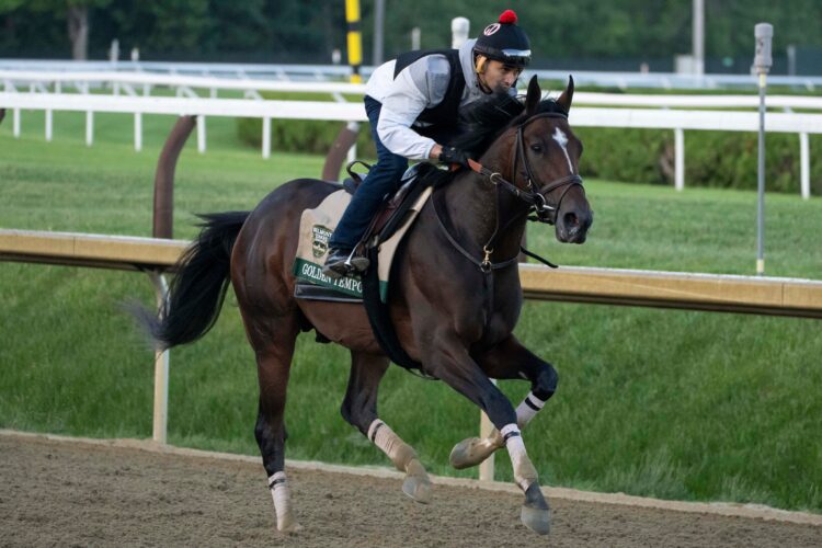 Kentucky Derby winner Golden Tempo faces challenge at Belmont | News ...